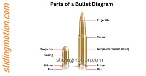 5 Parts of a Bullet: Exploring the anatomy with Names & Diagram